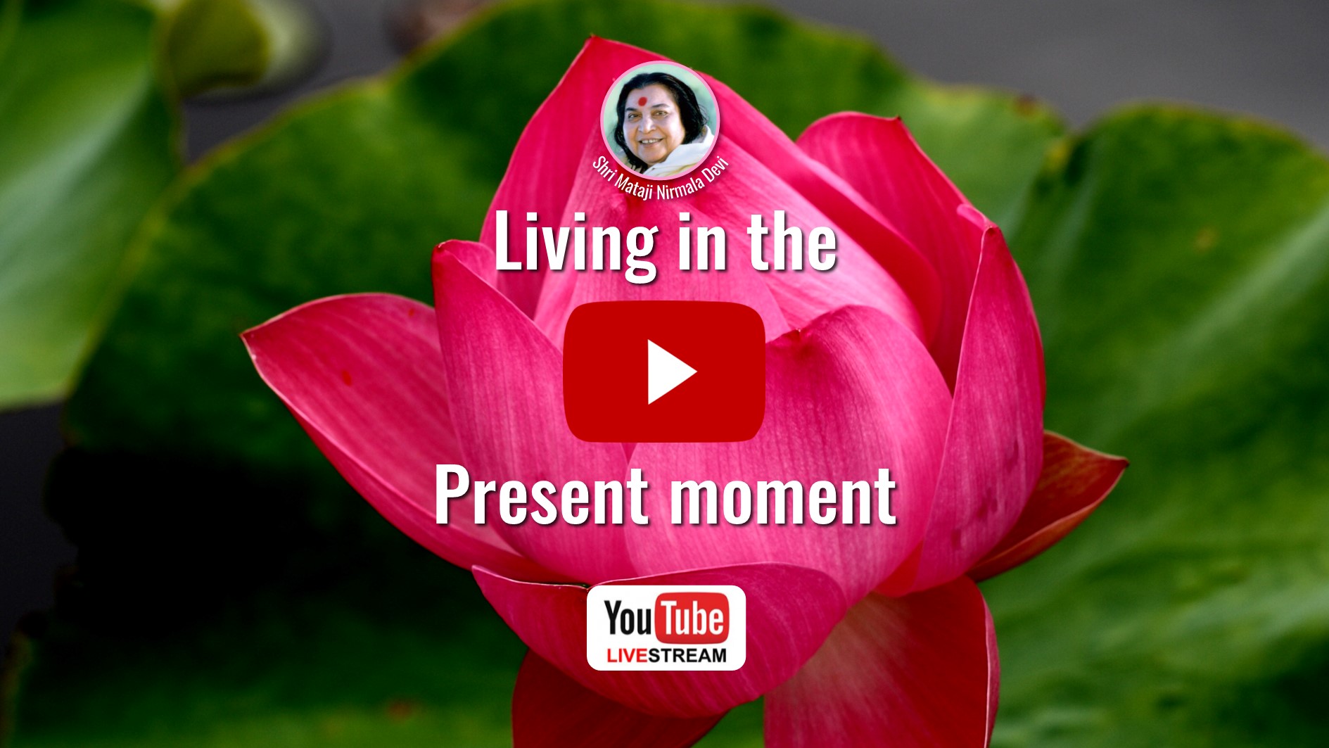 Webcast ‘Living in the present moment’ | Free Meditation Worldwide